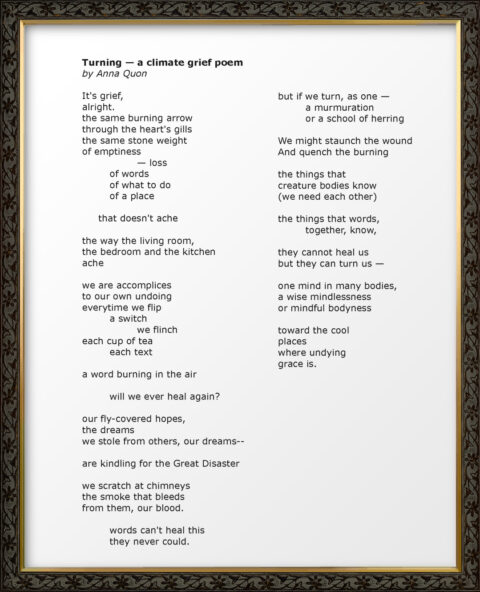 Turning - a climate grief poem - Green Acre