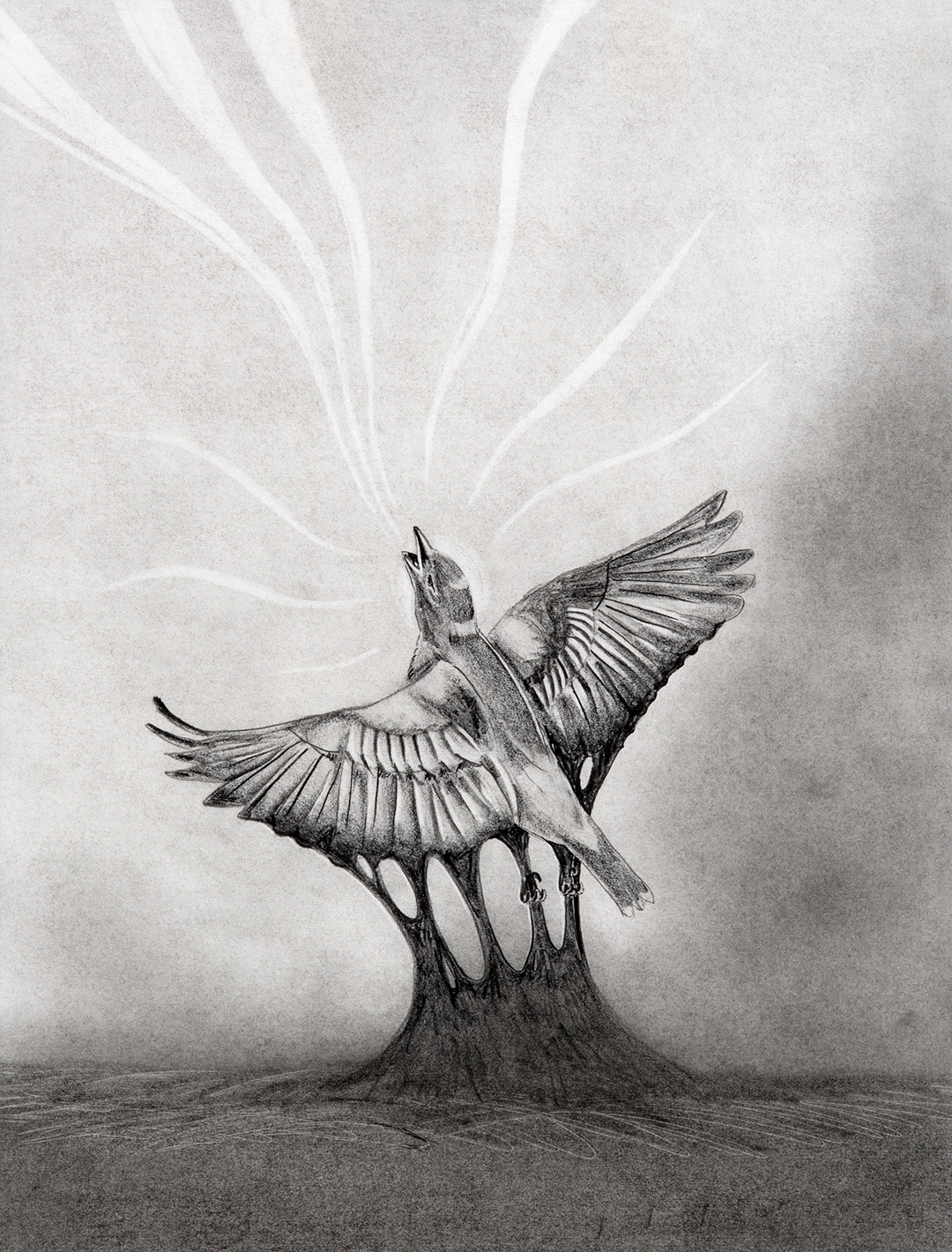 Ye are even as the bird… - Green Acre